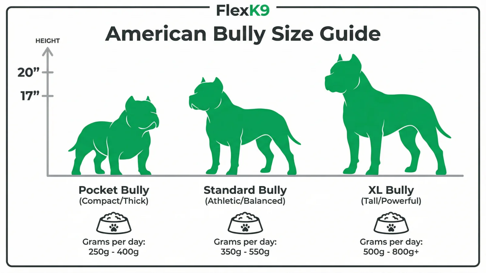 American Bully Food Chart UK: 2026 Pocket to XL Guide